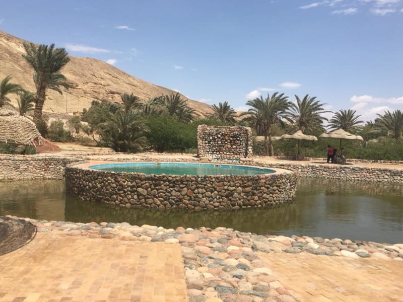 أين تقع عيون موسى وما اهميتها العلاجيه ؟ - ابناء مصر